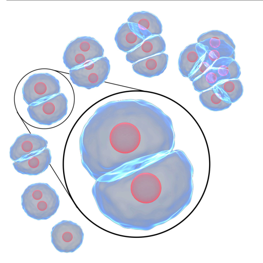 Surface mesh on individual molecules – Forum – OVITO – Open ...