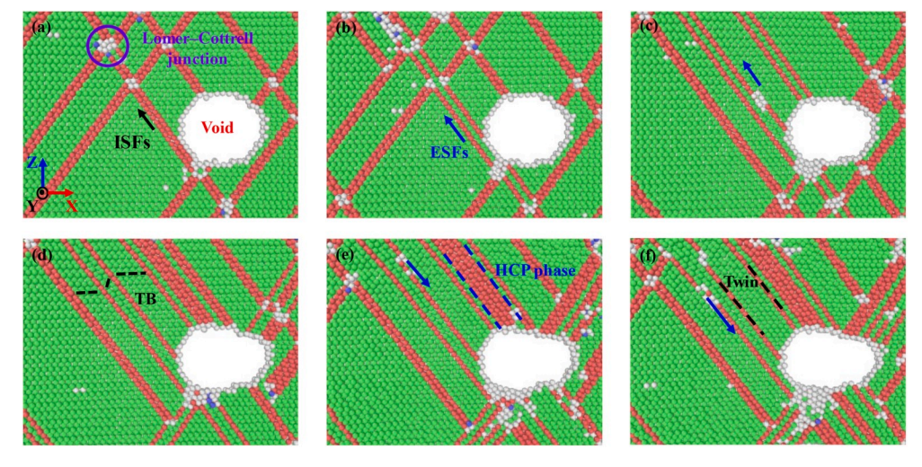 OVITO Visualization help – Forum – OVITO – Open Visualization Tool