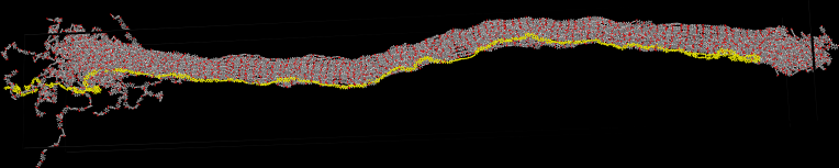 Calculating molecular directors (vectors) – Forum – OVITO – Open ...